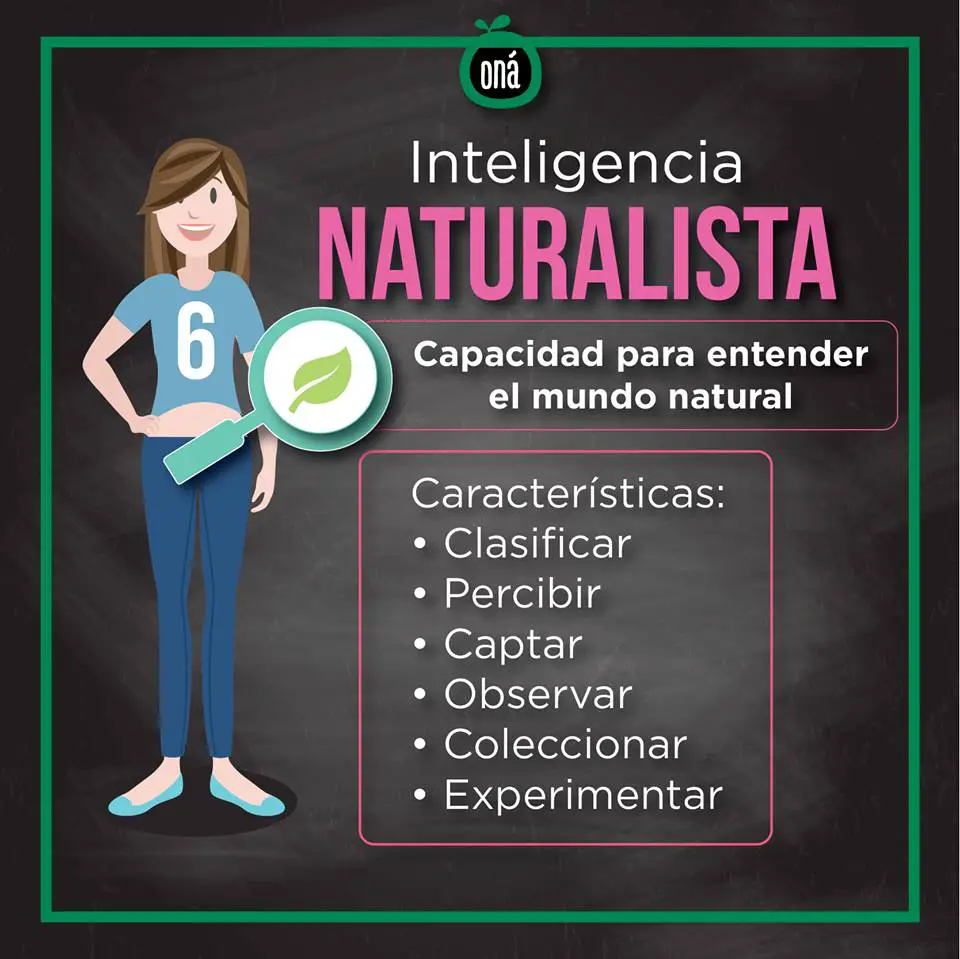 Galería: 8 Tipos de inteligencia que existen ¿Con cuál te identificas ... Galería: 8 Tipos de inteligencia que existen ¿Con cuál te identificas ...